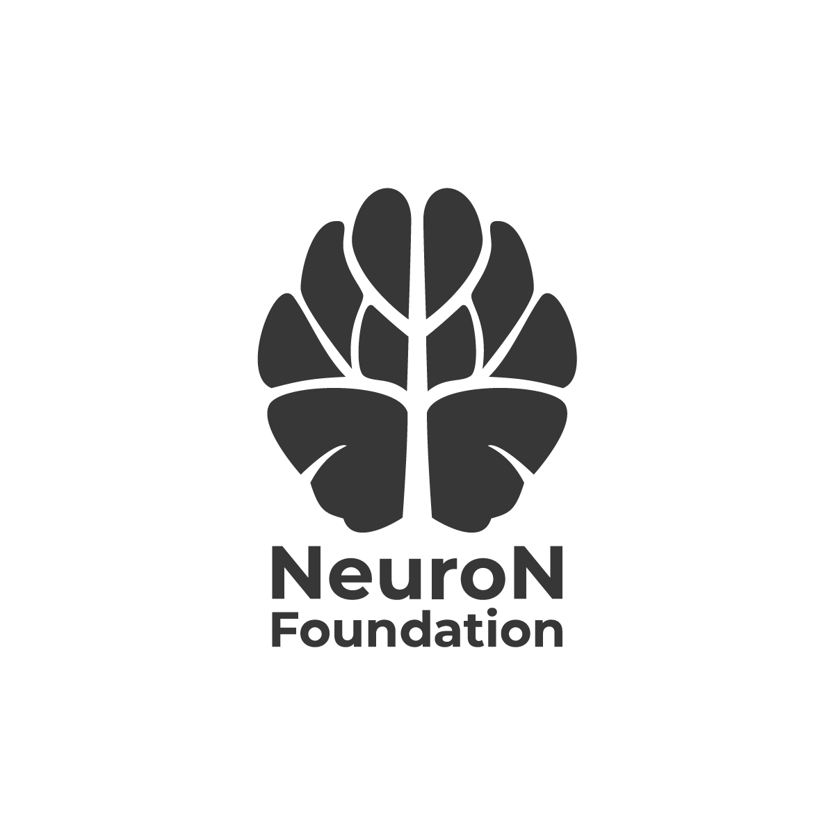 Program Konferencji - Konferencja - NeuroN Foundation